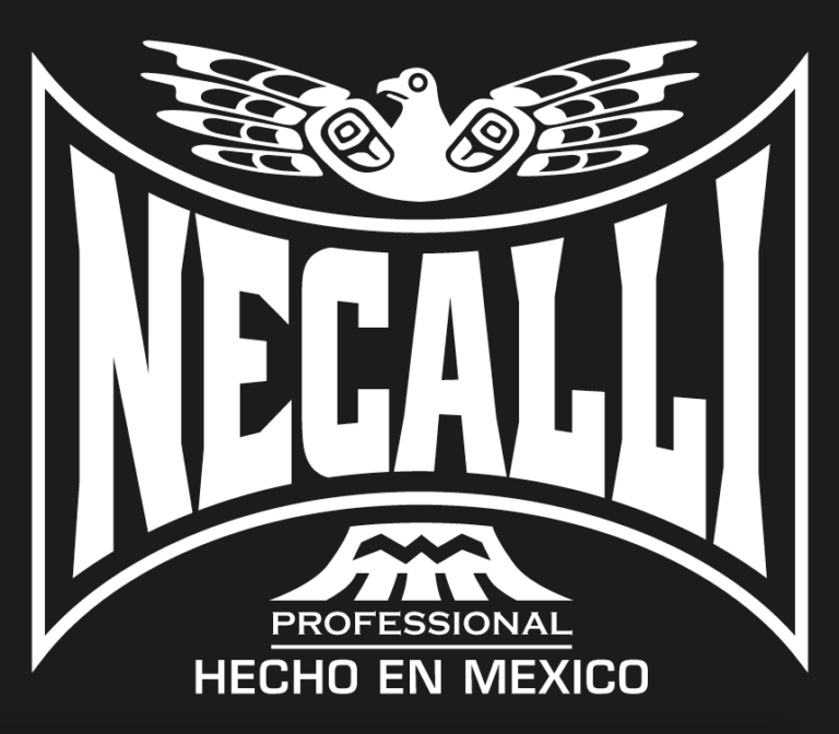 Necalli Boxing - ICIC